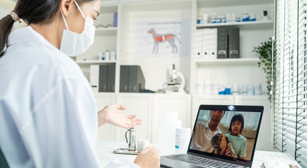 What is a Virtual Vet? - Pin Paws